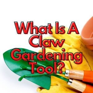 What Is A Claw Gardening Tool? Here's Everything You Need To Know